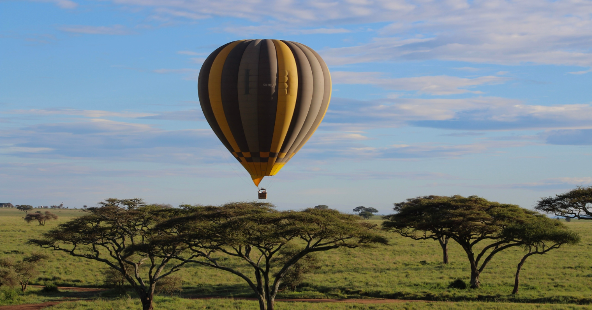 Activities - Greg Adventures